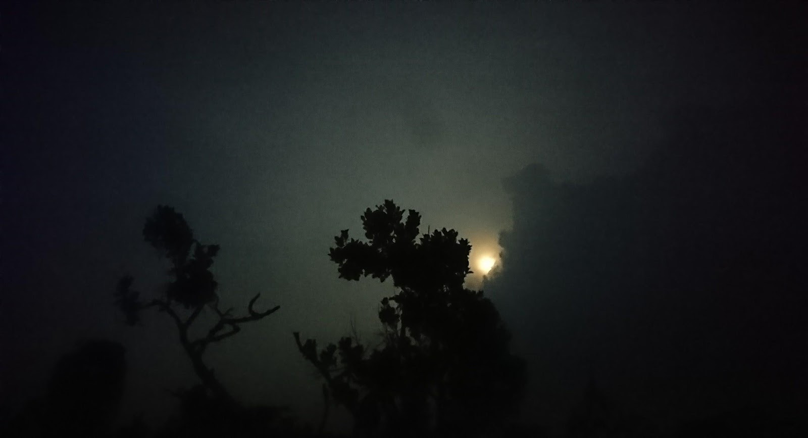 Abaikan Mereka yang Buang Muka, Tetap Berikan Senyum Tulus dan Peluk ...