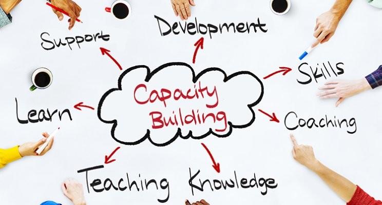 Character Building dan Capacity Building dalam Penguatan SDM ...